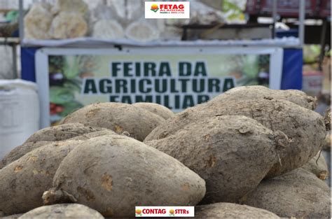 Realização da FEIRA DA AGRICULTURA FAMILIAR consolida comercialização