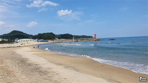 서퍼들의 성지 양양 기사문해변 네이버 포스트