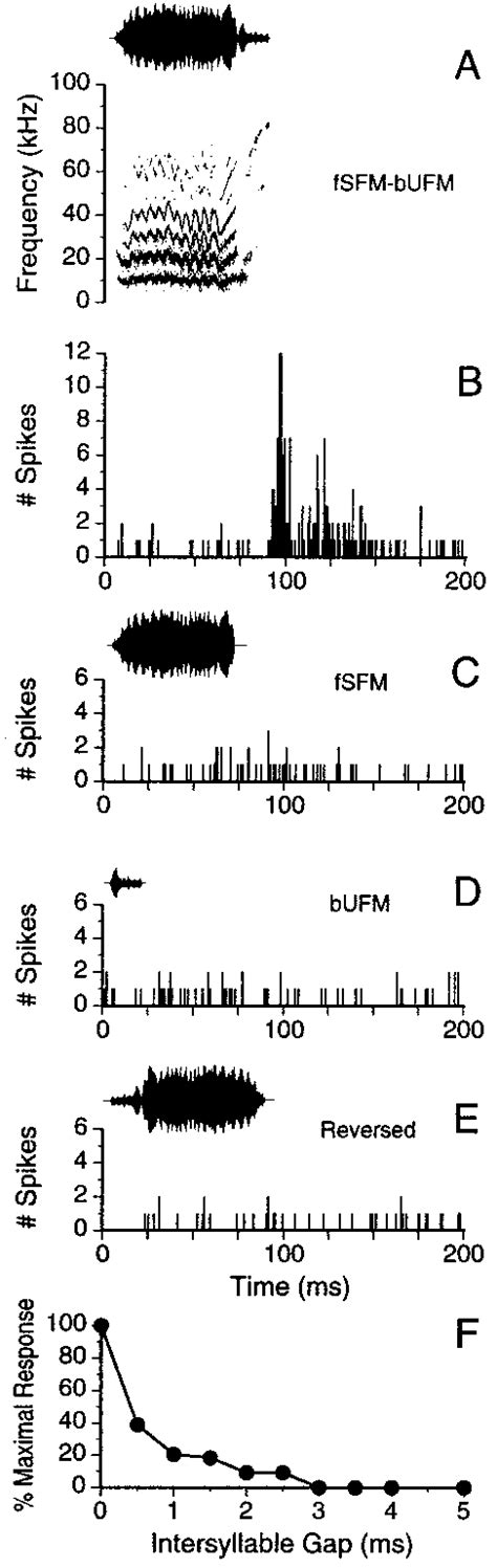 A Oscillogram And Sonagram Of Composite No 5 Fsfmbufm The Best Download Scientific