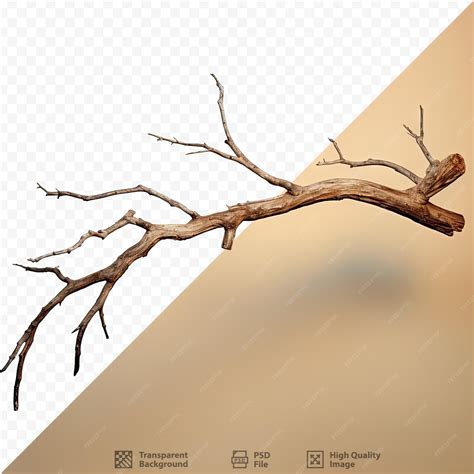 Premium Psd Dead Branches Of A Tree