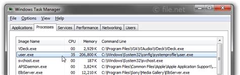 User Exe Windows Process What Is It