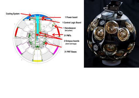 Left Scheme Of A Digital Optical Module With The Location Of The Download Scientific Diagram