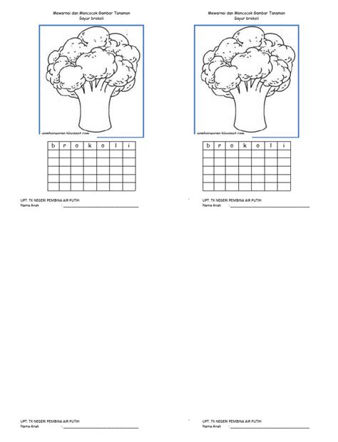 Gambar Brokoli Pdf