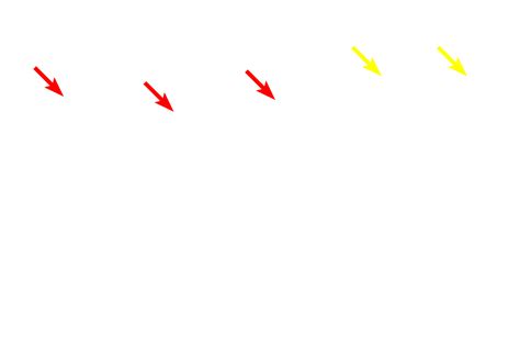 Retina Digital Histology