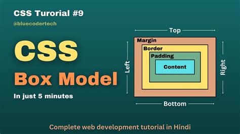 Css Box Model Learn About Padding Border And Margin In Hindi Learn Web Developement 27