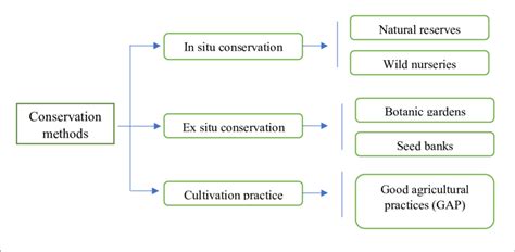 Diagram Of Methodological Systems Involved In The Conservation Of