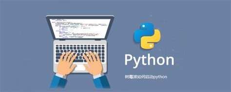 树莓派如何启动python树莓派怎么运行python代码 Csdn博客