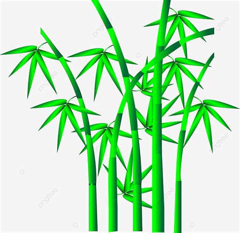 Bamboo Clipart Hd PNG Green Bamboo Bamboo Bamboo Tree Bamboo