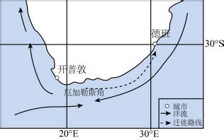 沙丁鱼是冷水鱼，水温14℃ 20℃是它们最喜欢的温 高途