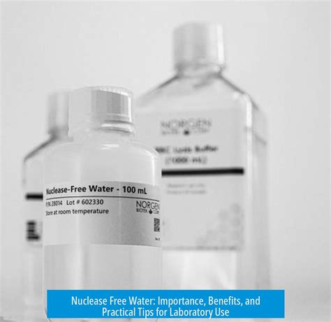 Nuclease Free Water Importance Benefits And Practical Tips For Laboratory Use Chemcafe