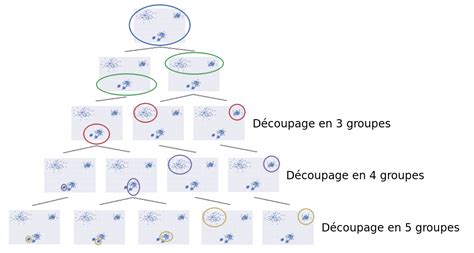 Effectuez Une Classification Hiérarchique Réalisez Une Analyse