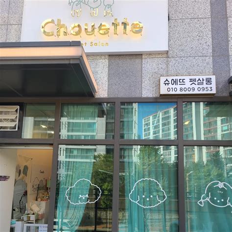 속초 유리창청소 강원특별자치도 속초시 조양동 비즈프로필