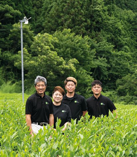 山のお茶 坂本園｜宮崎県五ヶ瀬町の有機栽培茶園 「五ヶ瀬釜炒り茶」農林水産大臣賞受賞。九州の真ん中、宮崎県五ヶ瀬町から美味しい釜炒り茶をお