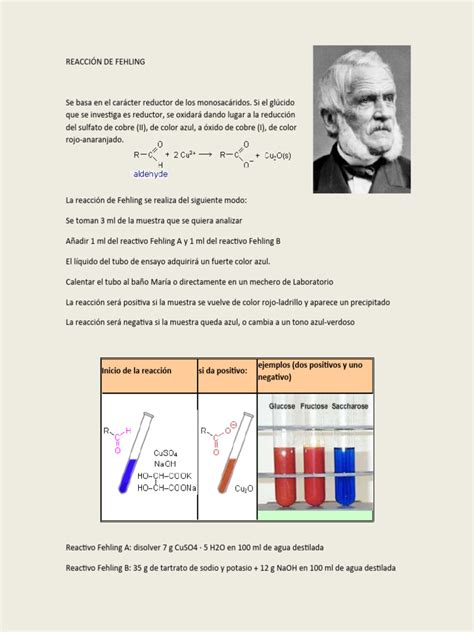 Reacción De Fehling Pdf
