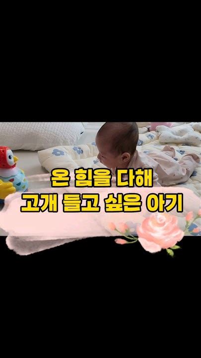 온 힘을 다해 고개 들고 싶은 아기 Youtube