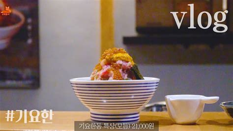 일본식 회덮밥 카이센동 한 그릇 뚝딱했습니당 I 맛집 브이로그 Vlog 합정 기요한 Youtube