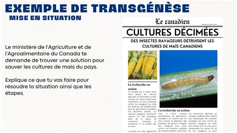 La Diversité Génétique Powerpoint Et Contenu