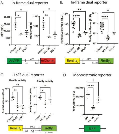 Disruption Of Sfl Homeostasis Inhibits Reporter Protein Activity