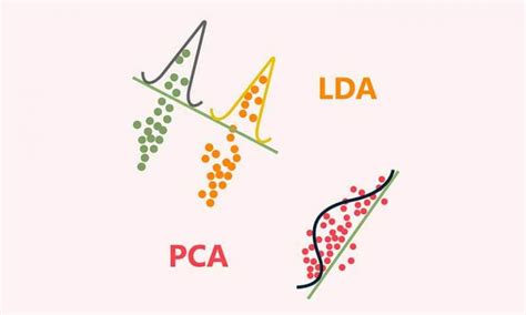 شناسایی الگوفصل ششم تئوری و پیاده سازی الگوریتمهای کاهش بعد Pca و