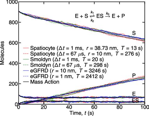 Particle Simulation Performance Of The Michaelismenten Reaction