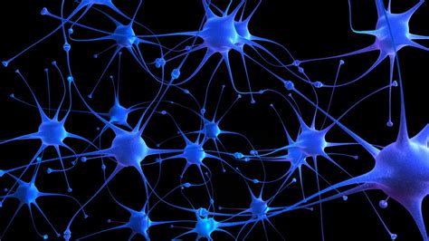 Brain Neuron Wallpapers Top Free Brain Neuron Backgrounds Wallpaperaccess Brain Neuron Wallpapers Top Free Brain Neuron Backgrounds Wallpaperaccess