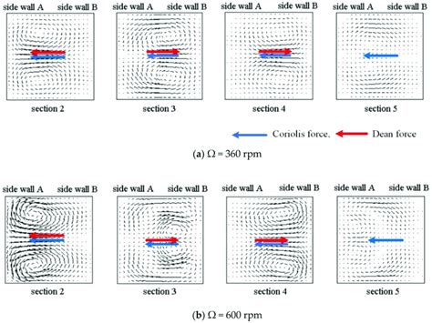 Two Dimensional Streamlines On Cross Sections 2 5 As Indicated In