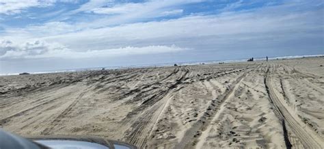 Grayland Beach State Park Updated June 2026 54 Photos And 36 Reviews