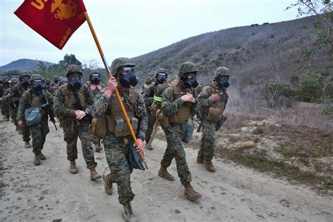 Dvids Images 1st Mlg Marines Sailors Go The Extra Mile [image 1 Of 4]