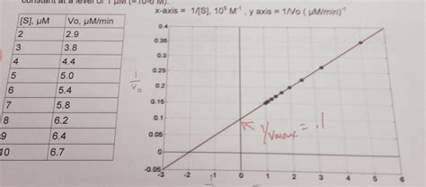 How To Calculate Vmax And Km In Excel PELAJARAN