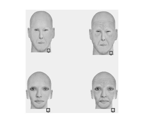 Examples Of Stimuli Used In Experiment 1 Categorical Age Judgments