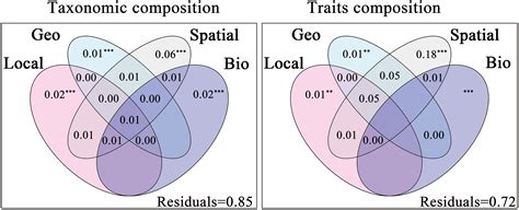 Frontiers Environmental Filtering Spatial Processes And Biotic Interactions Jointly Shape