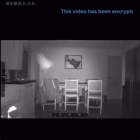 家中摄像头录下的一幕：猫咪跳起来的一刻发现台子上的铝箔纸 手机新浪网