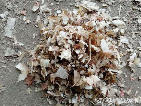生物质成型燃料是用什么做的，热值是多少？多少钱一吨？ 知乎