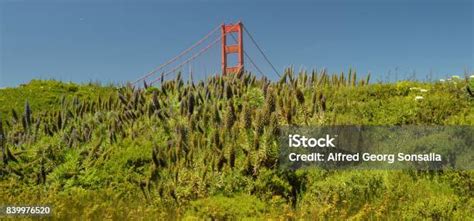 샌 프란 시스 코에서 2017 년 5 월 2 일 미국 캘리포니아 골든 게이트 브리지에서 노출 수 0명에 대한 스톡 사진 및 기타 이미지 Istock