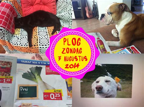 GODZILLA THE PURGE SEX TAPE LIFELOG Van Luna Sinds