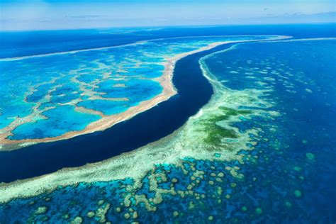 The Great Barrier Reef Australia