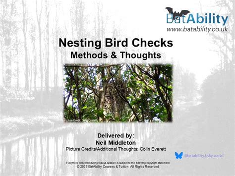 Nesting Bird Checks Methods And Thoughts