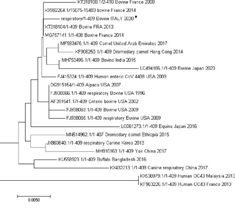 Figure 3 From Fatal Interstitial Pneumonia Associated With Bovine