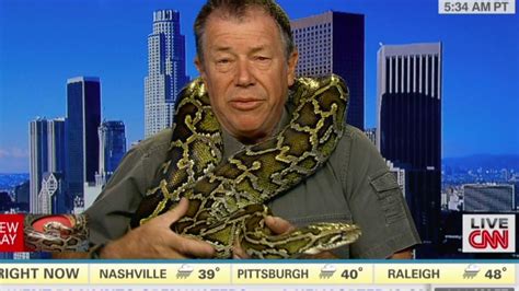 Python Kills Security Guard In Bali Cnn