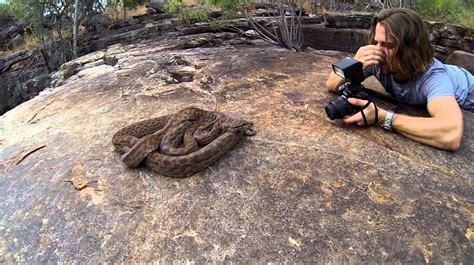 Oenpelli Python Facts And Pictures