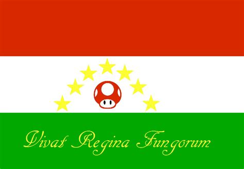 Mushroom Kingdom Flag By Ragameechu On Deviantart
