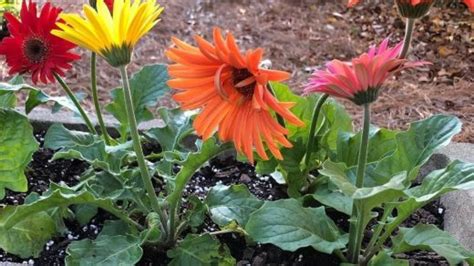 Soil Structure What Is Soil Structure