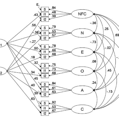 Correlated Trait Correlated Method Minus One [ct C M 1 ] Model With