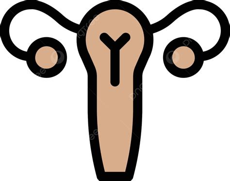 Uterus Icon Care Vagina Vector Icon Care Vagina Png And Vector With