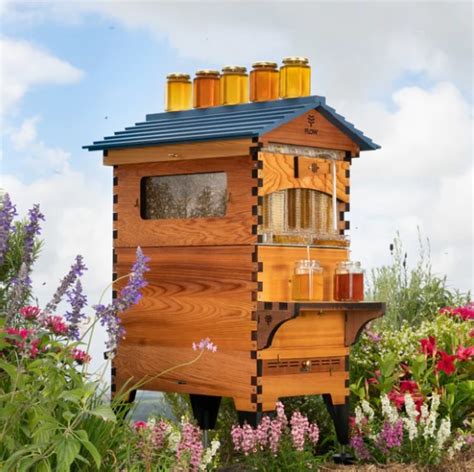 Flow Hive Review How Do They Compare Skyperma