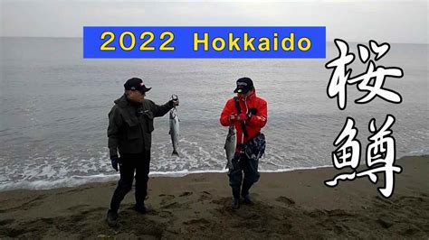 サクラマス釣り。北海道の海サクラマス釣りです。ショアーの釣りで様々なルアーをキャストして、貴重な、そして美しい桜鱒を狙います。今回は友達との