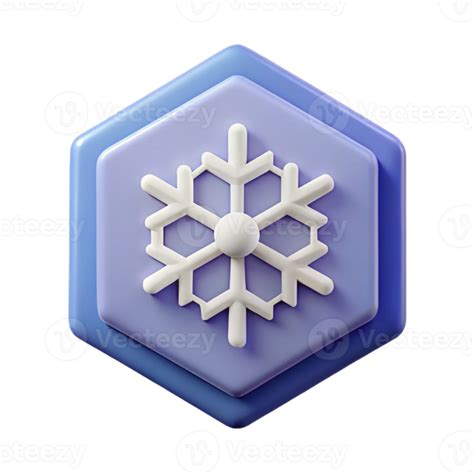 Sought After Bohemian Hexagonal Badge With A Stylized Geometric Snowflake Crisp Edges Flat
