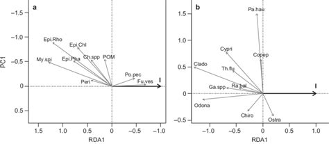 Ordination Graphs Of First Constrained Ordination Axis Rda With Bay