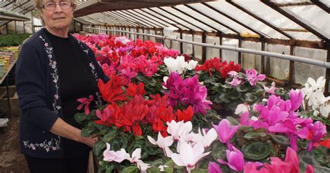Lentreprise Raffin Horticole Donne Des Conseils Pour Le Printemps