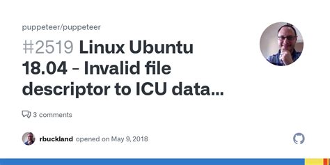 Linux Ubuntu Invalid File Descriptor To ICU Data Received Issue Puppeteer